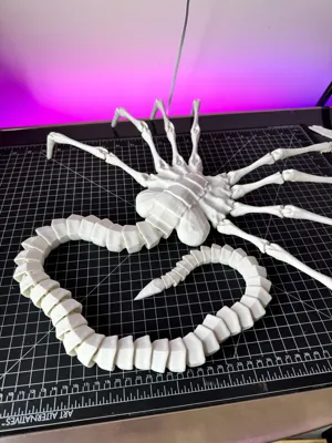 Facehugger body - remix - Free 3D Print Model - MakerWorld