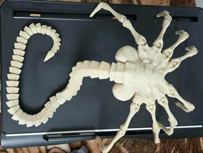Facehugger body - remix - Free 3D Print Model - MakerWorld