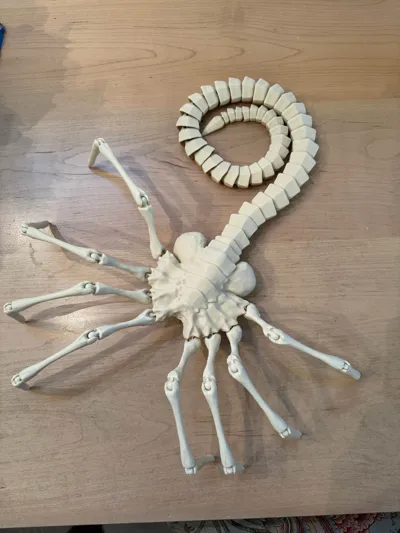 Facehugger body - remix Remixed by indianin666 MakerWorld: Download ...