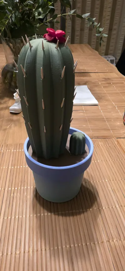 Toothpick Dispenser Cactus - Free 3D Print Model - MakerWorld