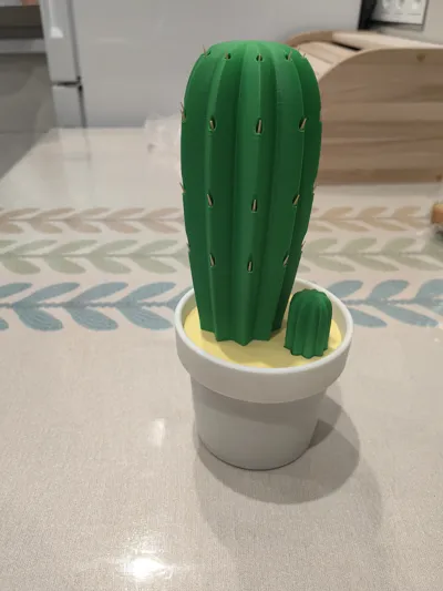 Toothpick Dispenser Cactus - Free 3D Print Model - MakerWorld