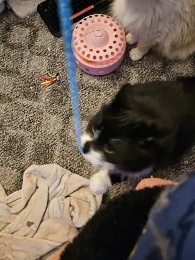 Useless Fidget Chain - No Support - Print-In-Place by Amazing STL ...