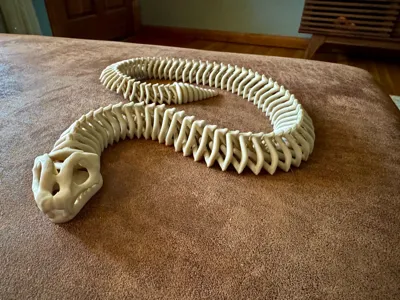 Articulated Snake Skeleton Toy – Flexible Model by Fleximania ...