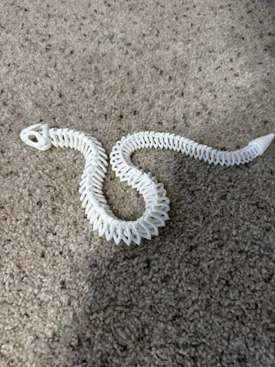 Articulated Snake Skeleton Toy – Flexible Model by Fleximania ...