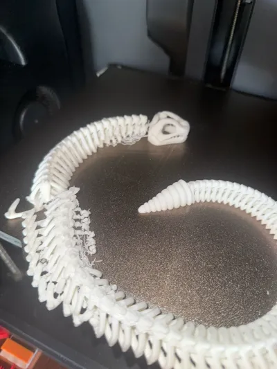 Articulated Snake Skeleton Toy – Flexible Model by Fleximania ...