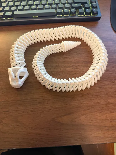 Articulated Snake Skeleton Toy – Flexible Model by Fleximania ...