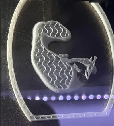 Raptor Embryo Suspended String Art by Cjwelcome MakerWorld: Download ...