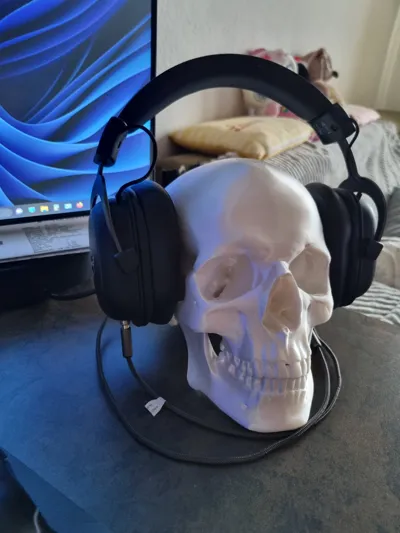HUMAN SKULL - MEDICAL SCAN | CRÂNE HUMAIN by TechNapa MakerWorld ...