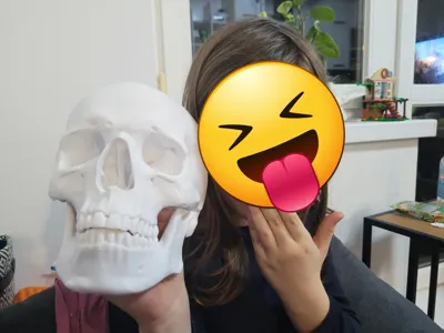 HUMAN SKULL - MEDICAL SCAN | CRÂNE HUMAIN by TechNapa MakerWorld ...