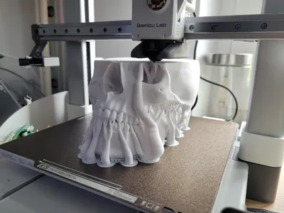 HUMAN SKULL - MEDICAL SCAN | CRÂNE HUMAIN by TechNapa MakerWorld ...