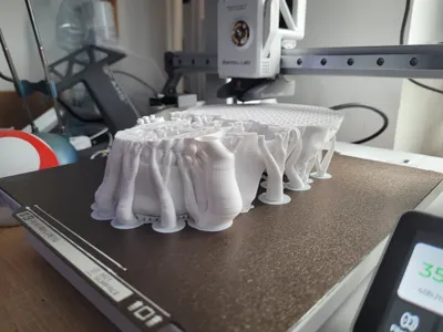 HUMAN SKULL - MEDICAL SCAN | CRÂNE HUMAIN by TechNapa MakerWorld ...