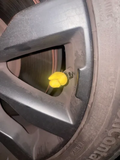 Rubber Duck Valve Cover - Free 3D Print Model - MakerWorld