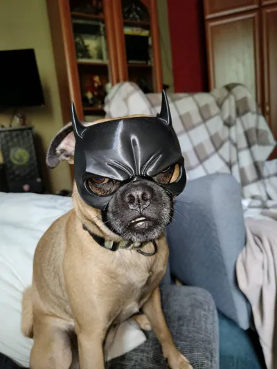Batman Dog Mask for Short-Nosed Breeds - Free 3D Print Model - MakerWorld
