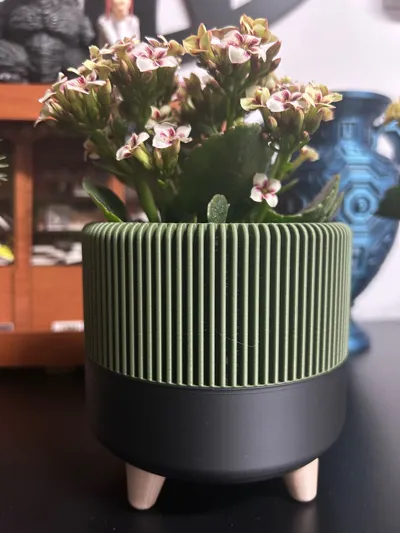 Drainy- plant pot with legs - Free 3D Print Model - MakerWorld