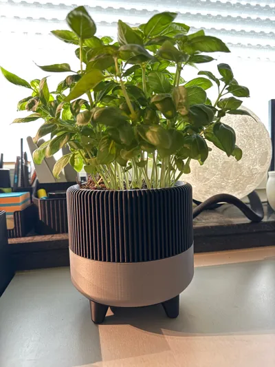 Drainy- plant pot with legs - Free 3D Print Model - MakerWorld
