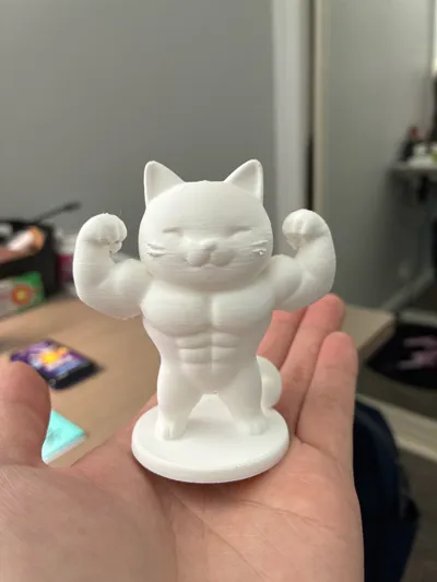 Sigma Cat – Muscle Cat Figurine - Free 3D Print Model - MakerWorld