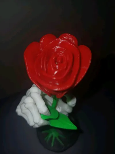 Skeleton Hand with Rose Symbol of Transience by Damakon MakerWorld ...