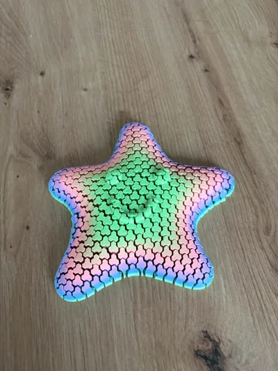 Flexi Playful Star - Free 3D Print Model - MakerWorld