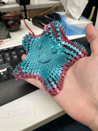 Flexi Playful Star - Free 3D Print Model - MakerWorld