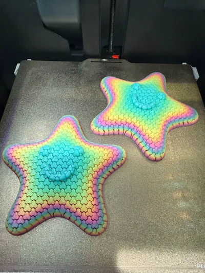 Flexi Playful Star - Free 3D Print Model - MakerWorld