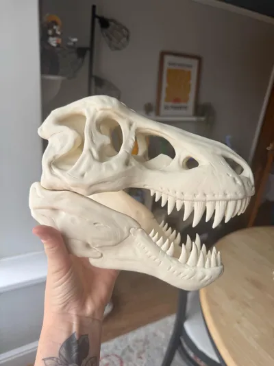 T-Rex Skull Remixed by Monster_Zero MakerWorld: Download Free 3D Models