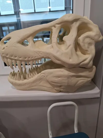 super large T-Rex skull - 600 mm - Free 3D Print Model - MakerWorld