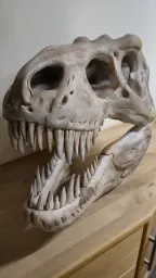 super large T-Rex skull - 600 mm - Free 3D Print Model - MakerWorld