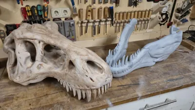 super large T-Rex skull - 600 mm - Free 3D Print Model - MakerWorld