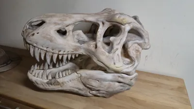 super large T-Rex skull - 600 mm - Free 3D Print Model - MakerWorld