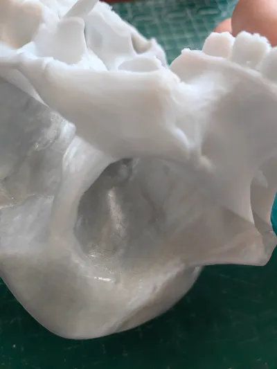 Human Skull Anatomically Correct Puzzle by PZI 3D MakerWorld: Download ...