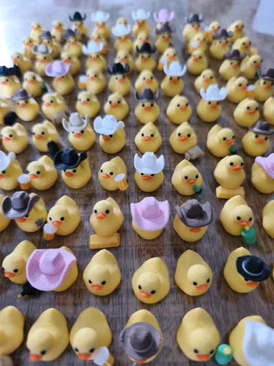 The 100 Hidden Ducks Game + PDF / Challenge! - Free 3D Print Model ...