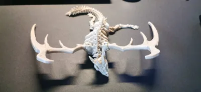 Hollow Wing the Bone Wyvern by Deus Cat MakerWorld: Download Free 3D Models