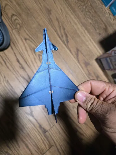 Delta Wing Plane Glider - The Best Glider! - Free 3D Print Model ...