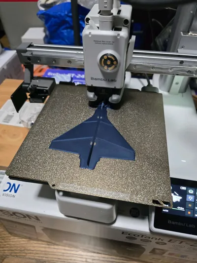 Delta Wing Plane Glider - The Best Glider! - Free 3D Print Model ...