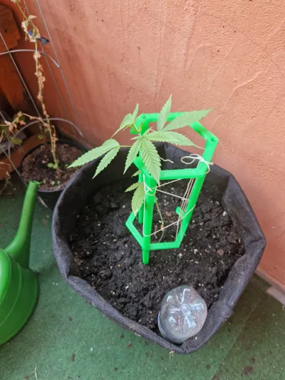 Open Cage Stackable Plant Support Stakes by squinn MakerWorld: Download Free 3D Models