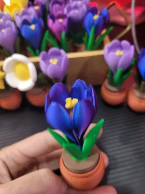Saffron (Crocus) Clicker - Free 3D Print Model - MakerWorld