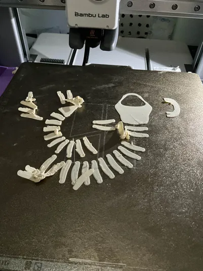 Flexi Skeleton Snake - Free 3D Print Model - MakerWorld