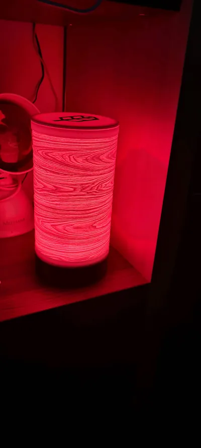 Natural Pattern Lithophane Lamps by FritzPeppone MakerWorld: Download Free 3D Models