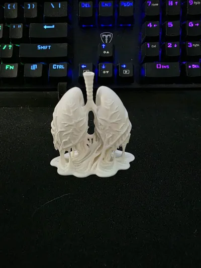 anatomical lung - Free 3D Print Model - MakerWorld