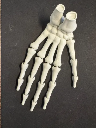 Print in Place Fully Articulated Skeleton Hand by KOGI3D MakerWorld ...