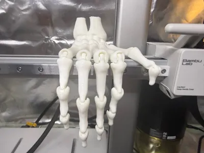 Print in Place Fully Articulated Skeleton Hand by KOGI3D MakerWorld ...