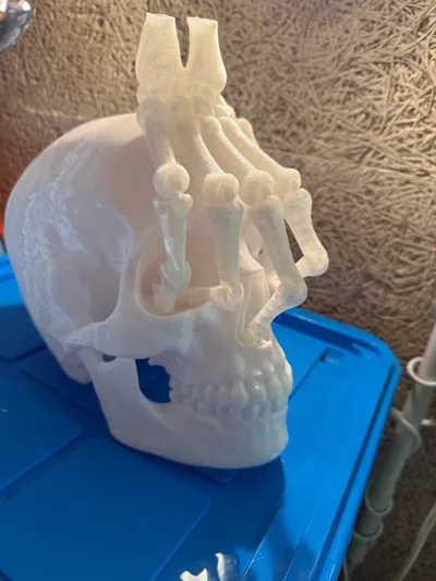 Print in Place Fully Articulated Skeleton Hand by KOGI3D MakerWorld ...