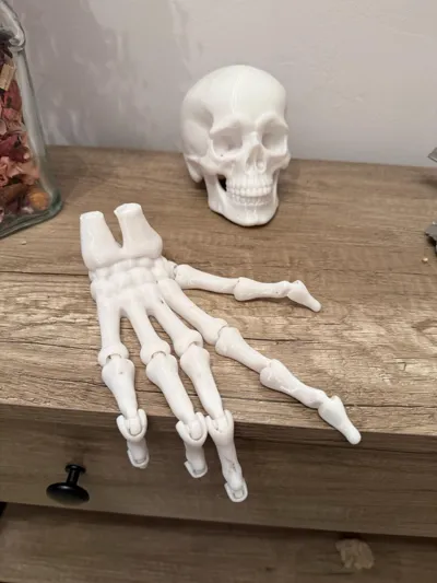 Print in Place Fully Articulated Skeleton Hand by KOGI3D MakerWorld ...