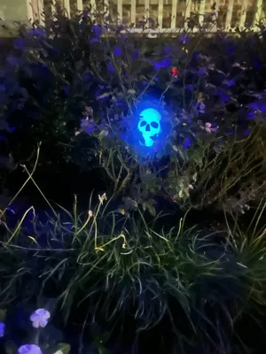Human skull Spooky reptile hide Enrichment Decor - Free 3D Print Model ...
