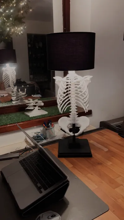 HUMAN SKELETON LAMP - Free 3D Print Model - MakerWorld