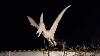Realistic Pterodactyl Model – Large Multi-Part 翼龙 - Free 3D Print Model ...