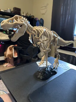 Reinforced T. rex Skeleton - fixed Remixed by Encrust3d MakerWorld ...