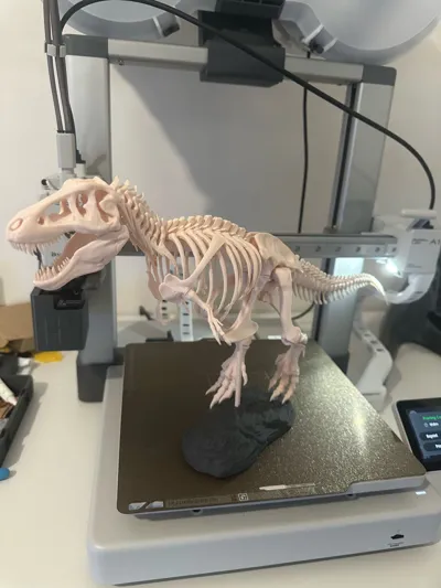 Reinforced T. rex Skeleton - fixed Remixed by Encrust3d MakerWorld ...
