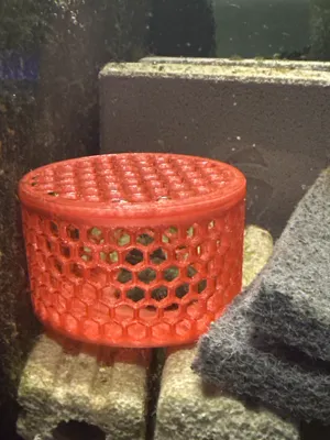 Coral Frag Mushroom Cage by richiev MakerWorld: Download Free 3D Models