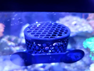 Coral Frag Mushroom Cage by richiev MakerWorld: Download Free 3D Models
